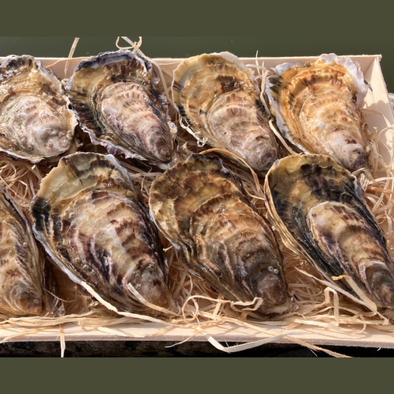 Huître Cancale "MARIA" n°2 x2dz (2.5kg)
