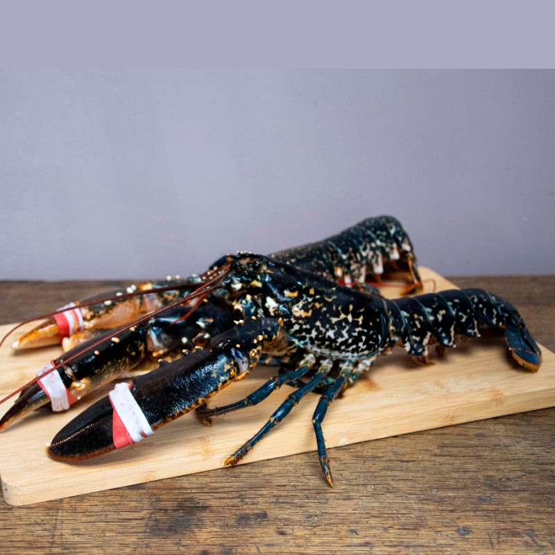 Fish And Clic - Poissonnerie en ligne - Large sélection de poissons ...