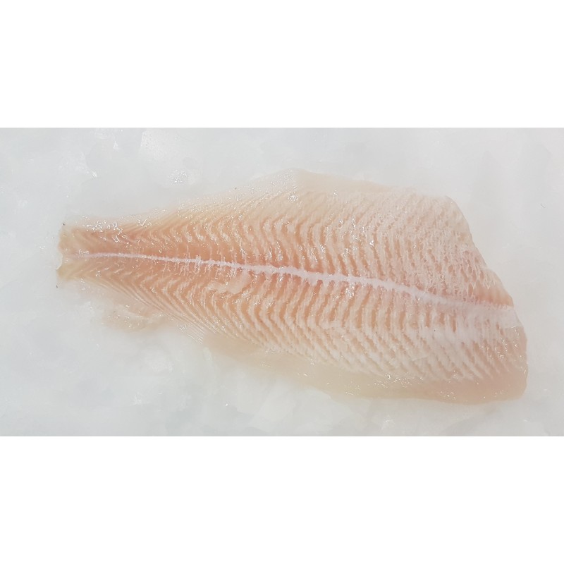 Filet de Plie (carrelet) 1/200g sans arêtes Lot 1kg