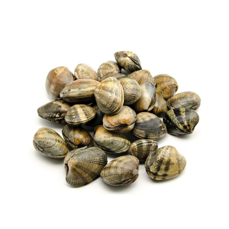 Palourde grosse 1kg